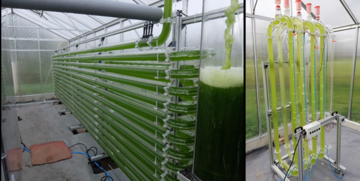Climate protection Microalgae – Department of Electrical Engineering and Information Technology ...